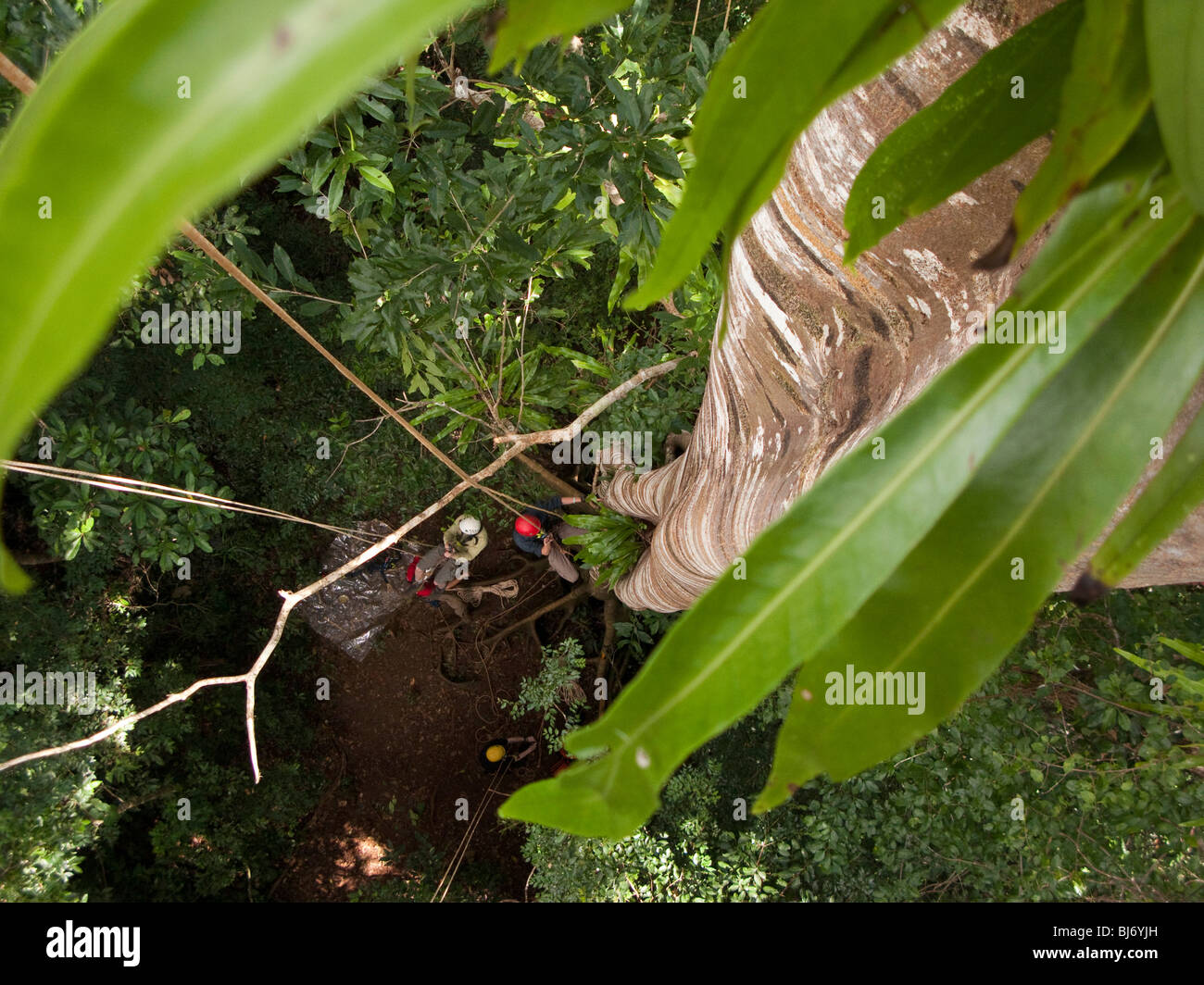 Indonesia, Sulawesi, Buton, Labundo Bundo, Operation Wallacea volunteer ...
