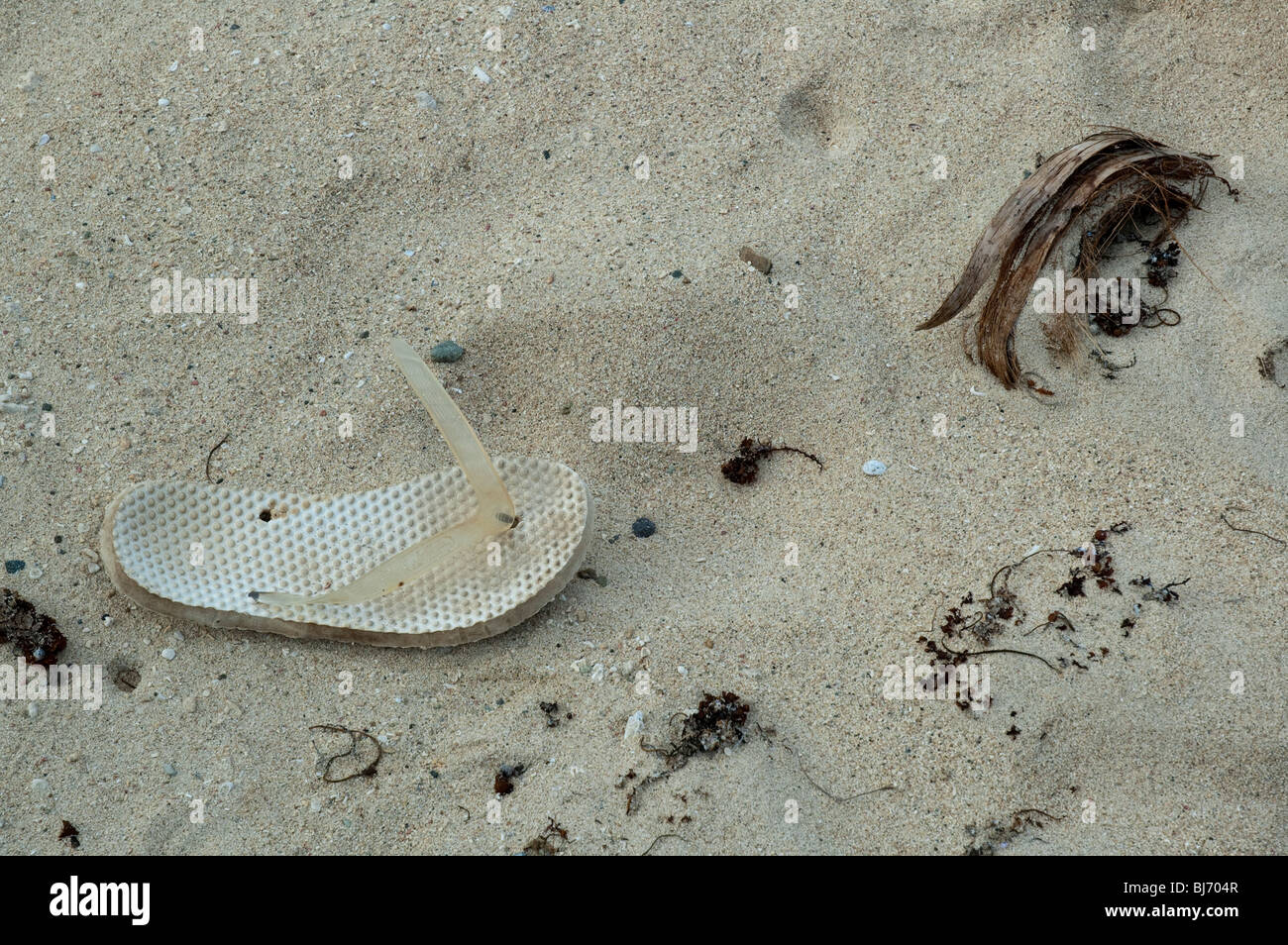 Right sandal hi-res stock photography and images - Alamy