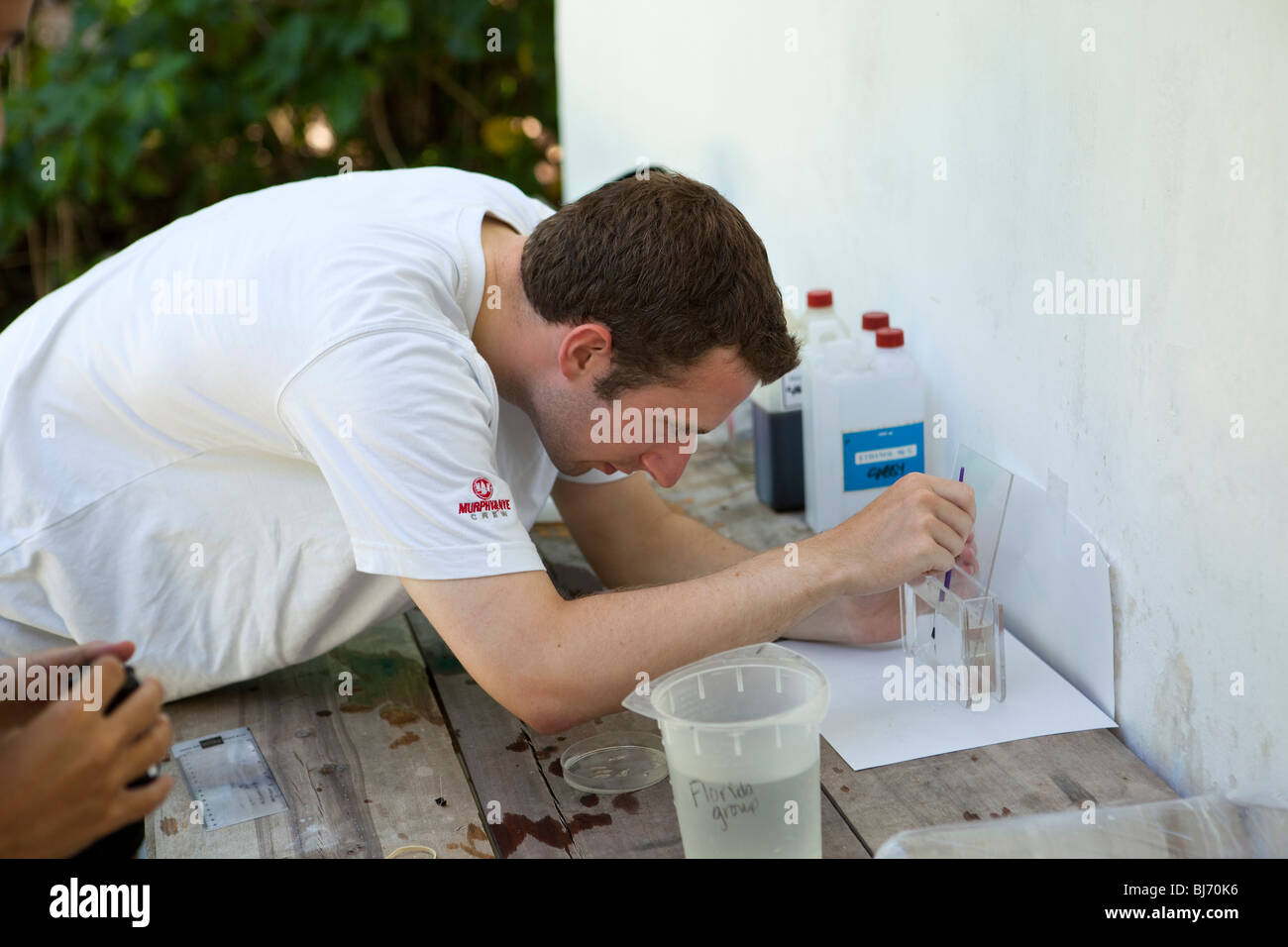 Indonesia, Sulawesi, Hoga, Operation Wallacea, research scientist ...