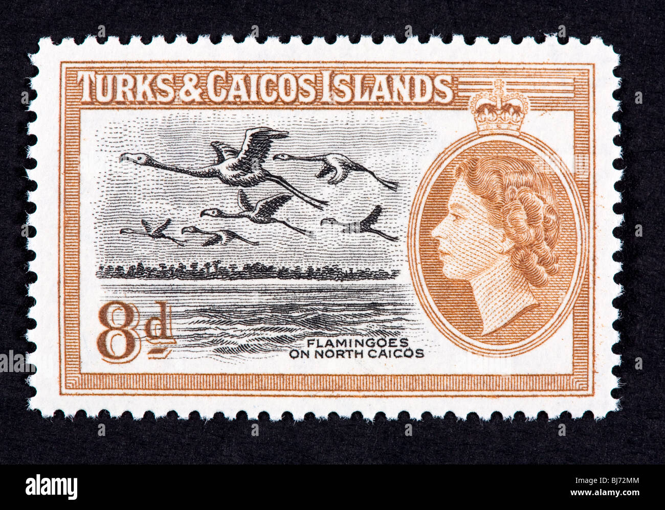 Stamp of turks and caicos islands hi-res stock photography and images ...