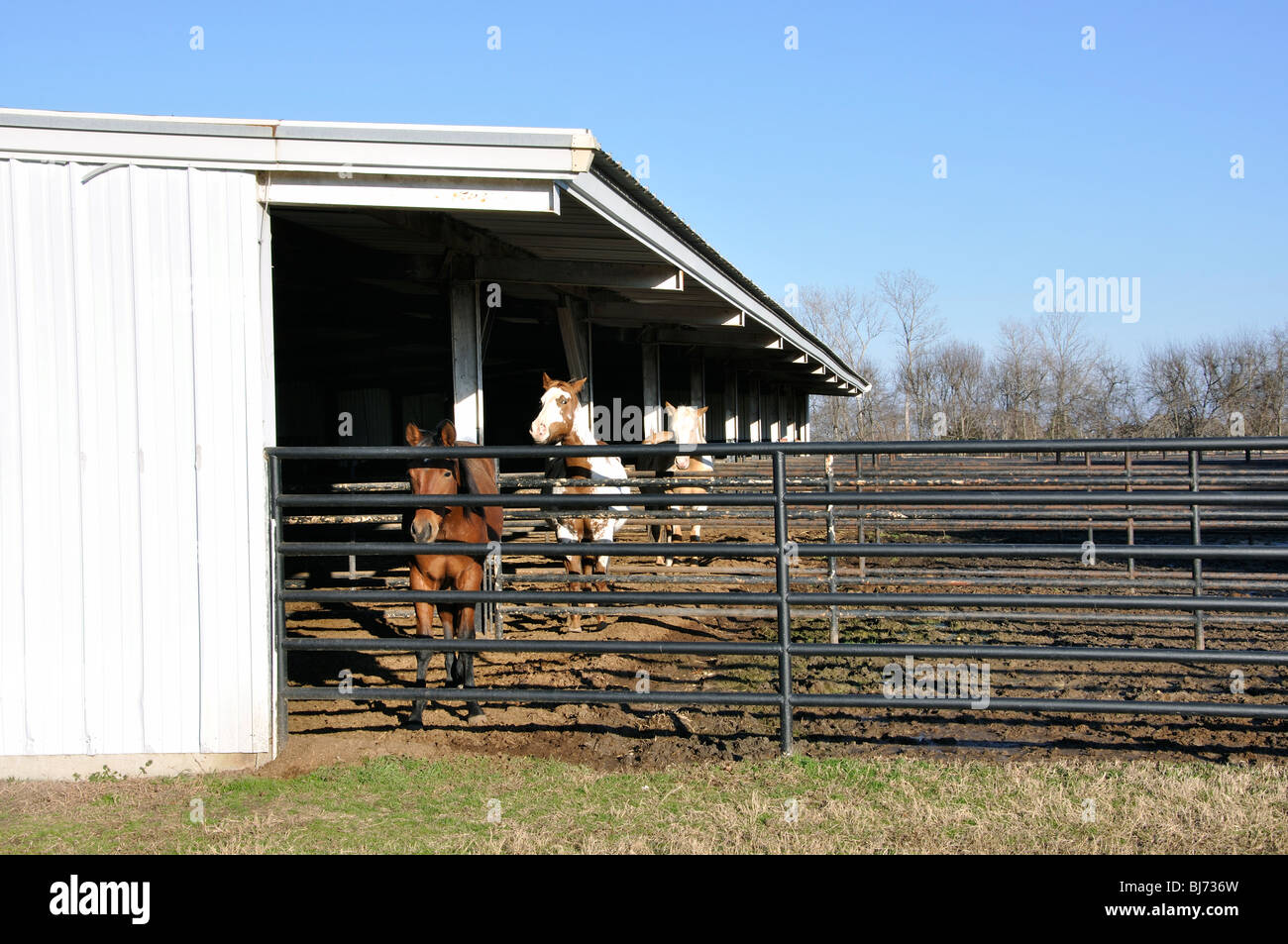 South fork ranch texas hi-res stock photography and images - Alamy