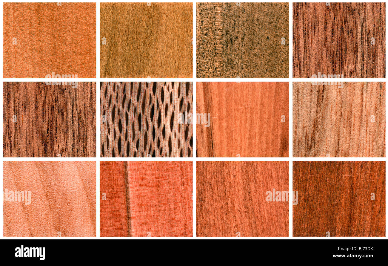 Taraire wood hi-res stock photography and images - Alamy