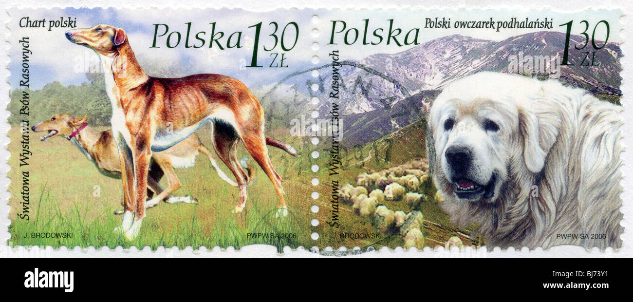 Polish stamps hi-res stock photography and images - Alamy