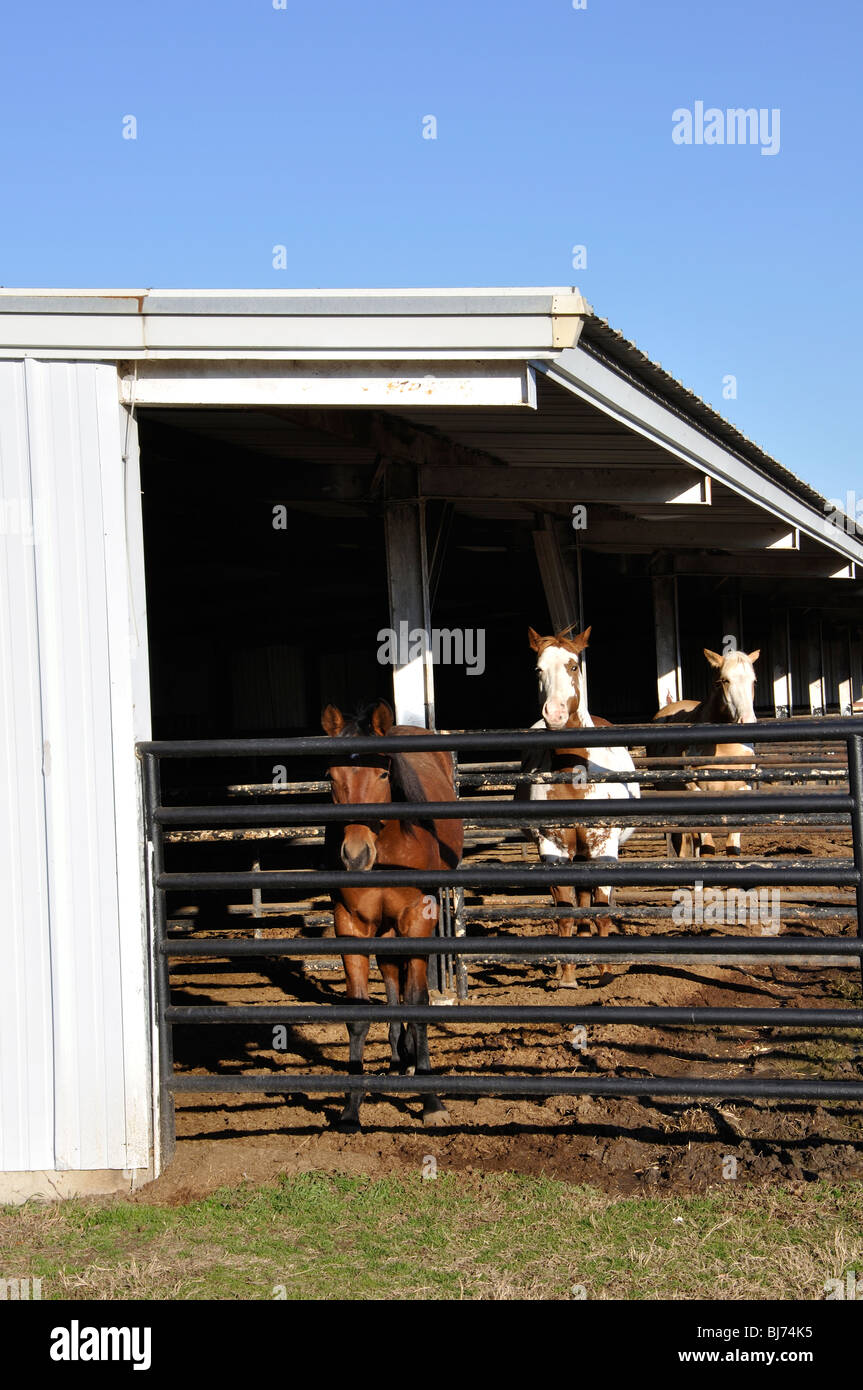 Southfork Ranch, Texas, USA Stock Photo - Alamy
