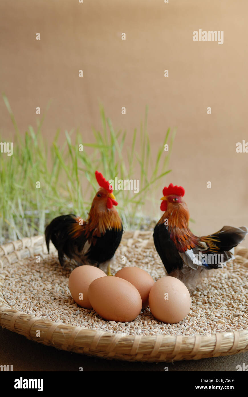 Kidney basin hi-res stock photography and images - Alamy