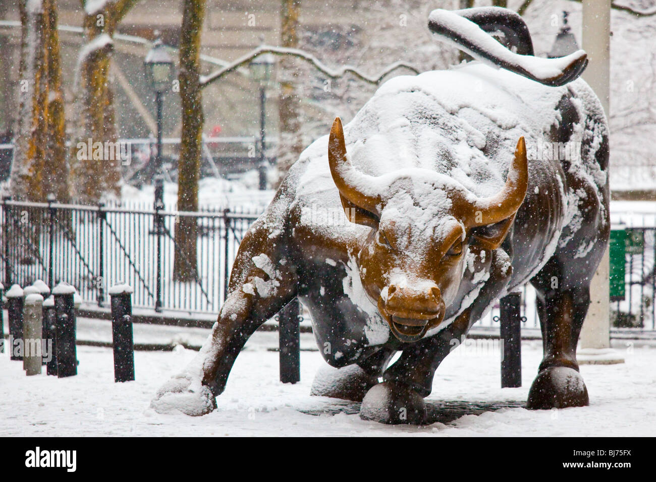 Wall Street Bull in a snow storm in New York City Stock Photo - Alamy