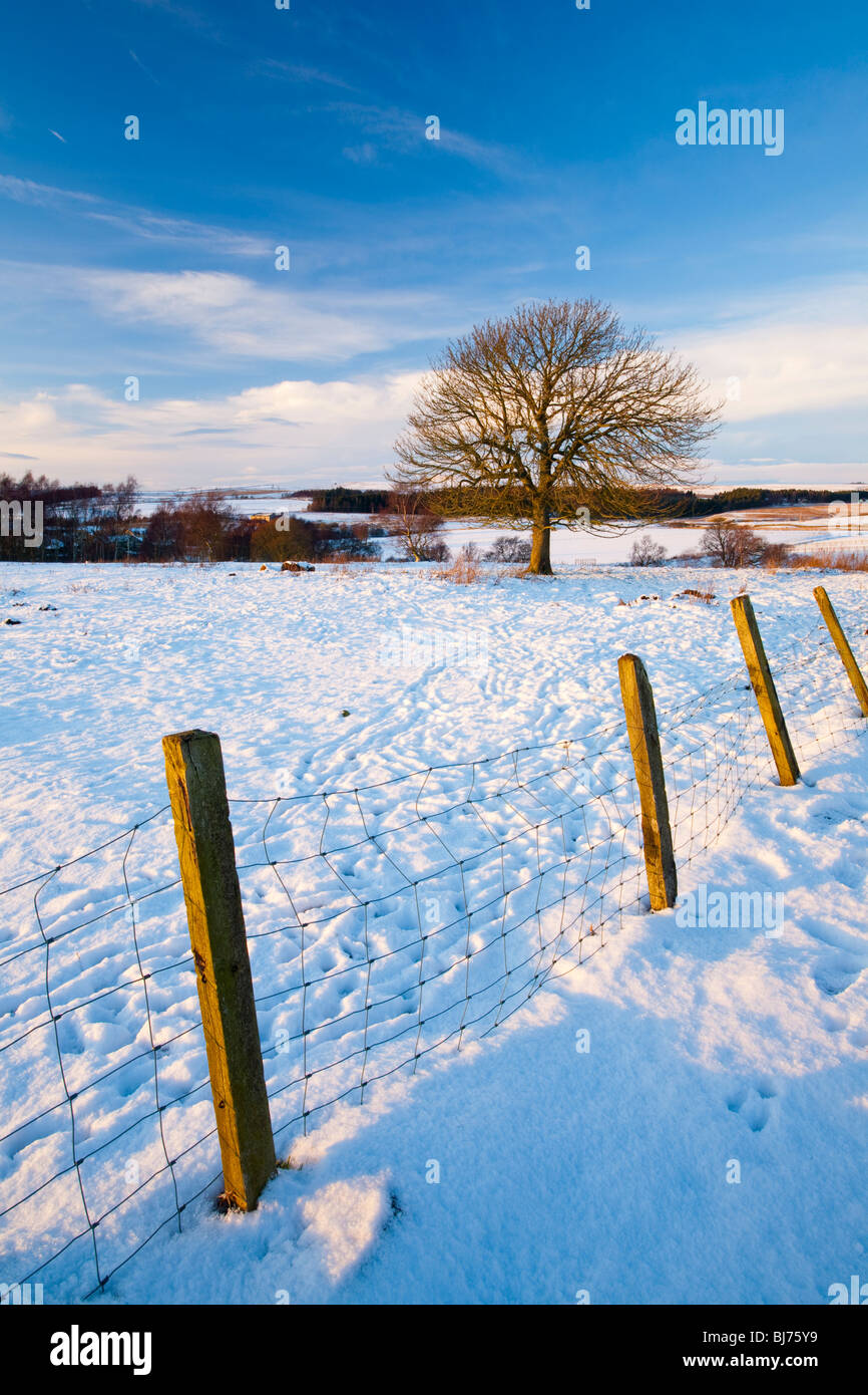 England, Northumberland, Northumberland National Park. Typical ...
