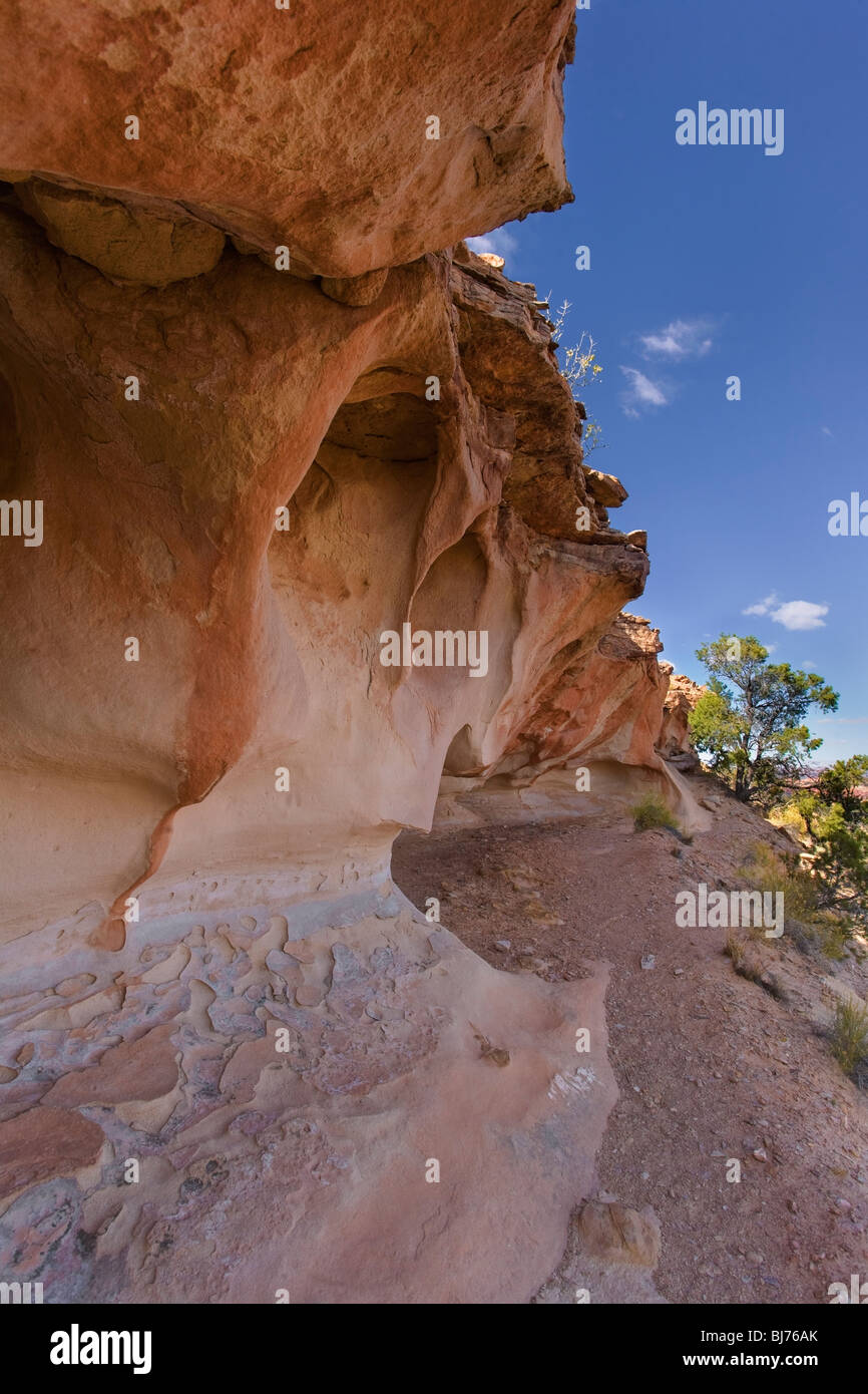 Slickrock Wall Details, Canyonlands National Park, Utah, USA Stock ...