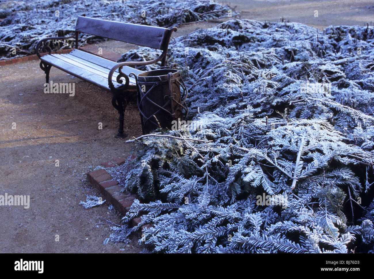 Lazienki Warsaw Winter Stock Photos & Lazienki Warsaw Winter Stock ...