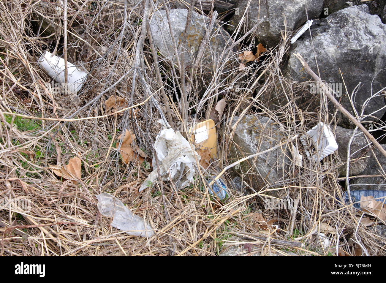Garbage in public park Stock Photo - Alamy