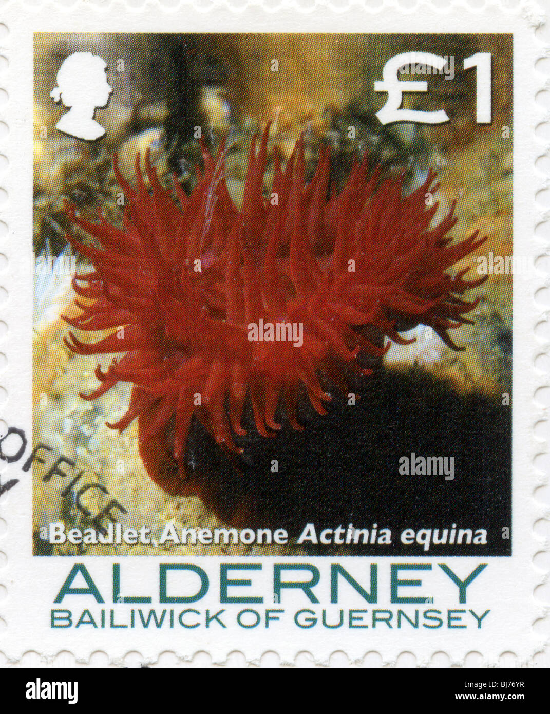 Alderney postage stamp Stock Photo - Alamy
