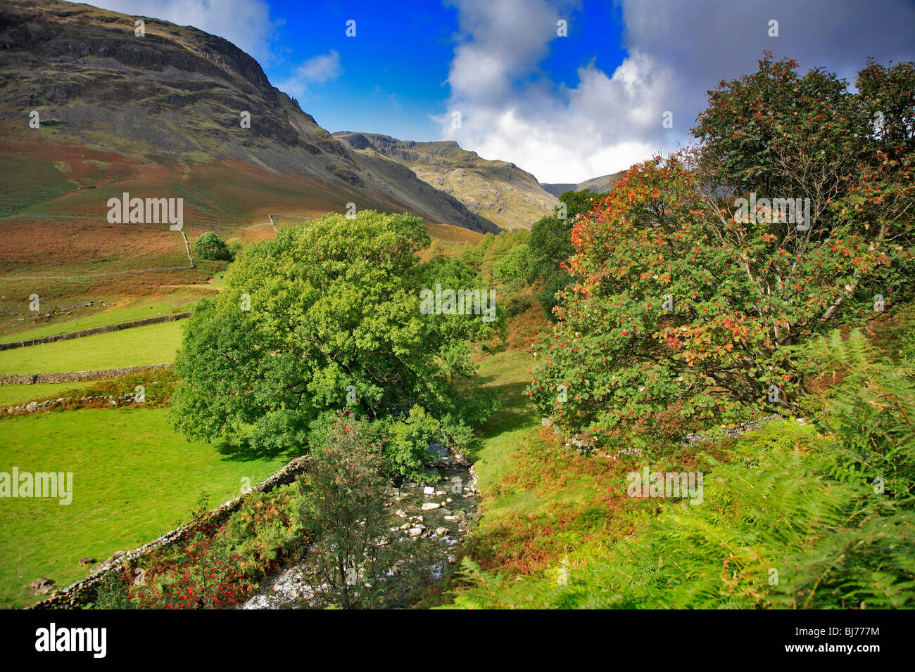 Mosedale valley Wasdale Western Lake District National Park Cumbria ...