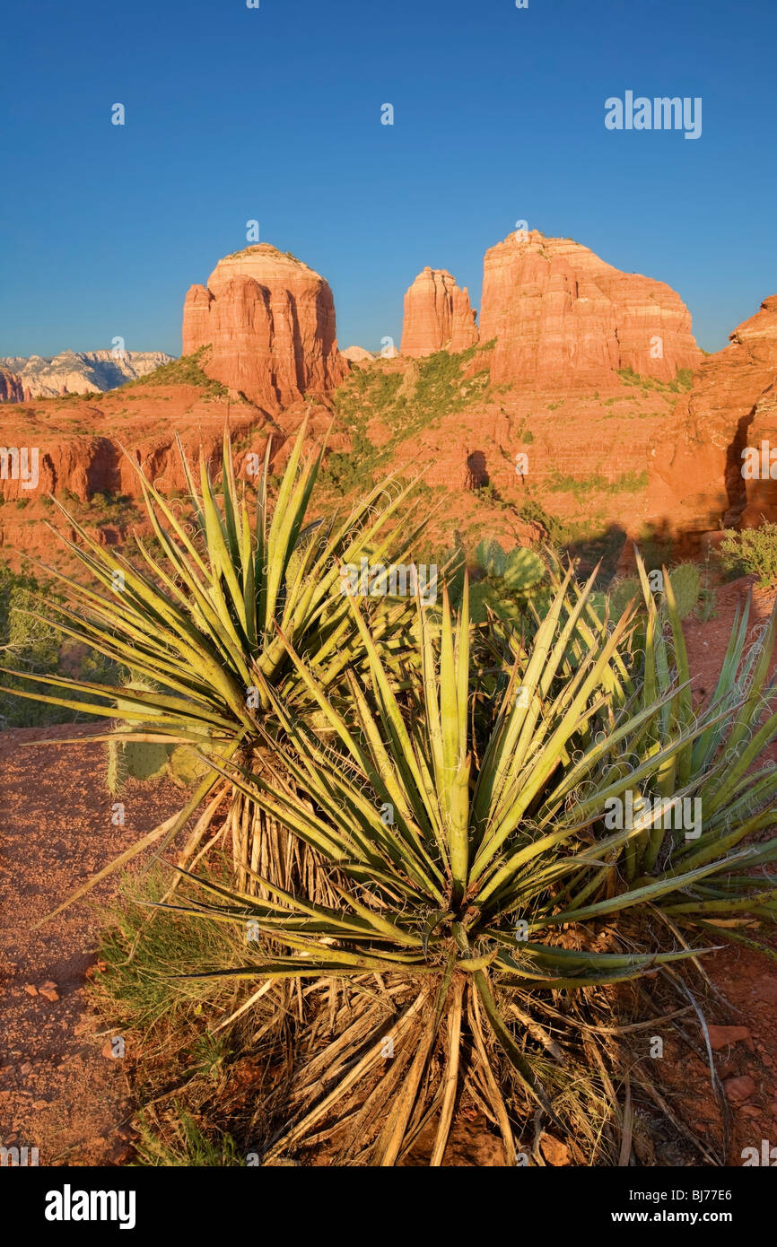 Cathedral rock sedona az hi-res stock photography and images - Alamy