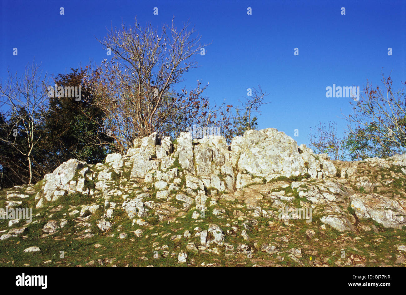 Cheddar gorge attractions hi-res stock photography and images - Alamy