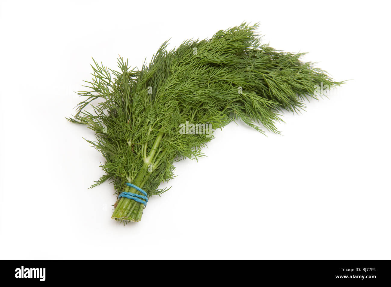 Dill herb leaves hi-res stock photography and images - Alamy