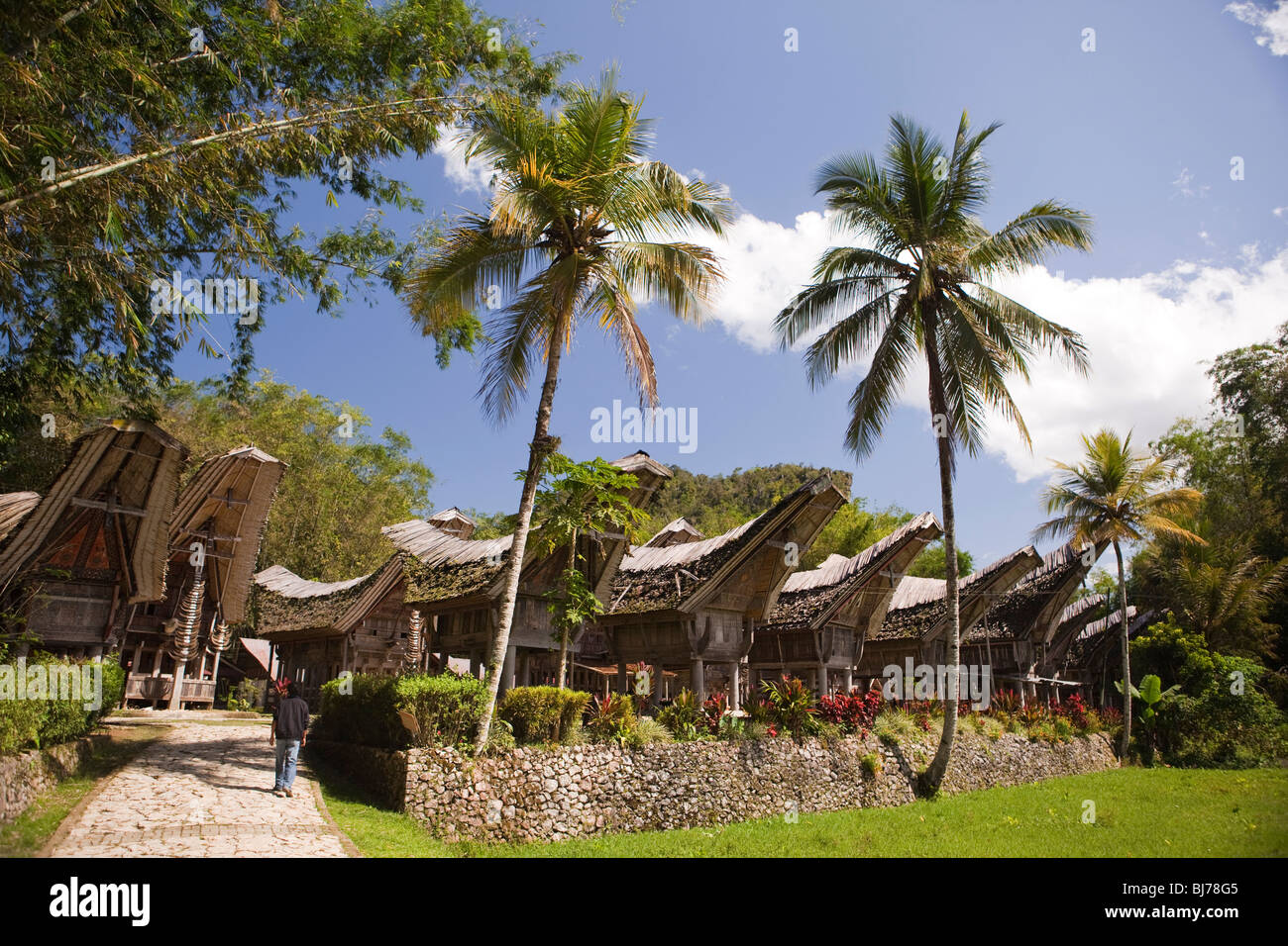Torajan houses hi-res stock photography and images - Alamy