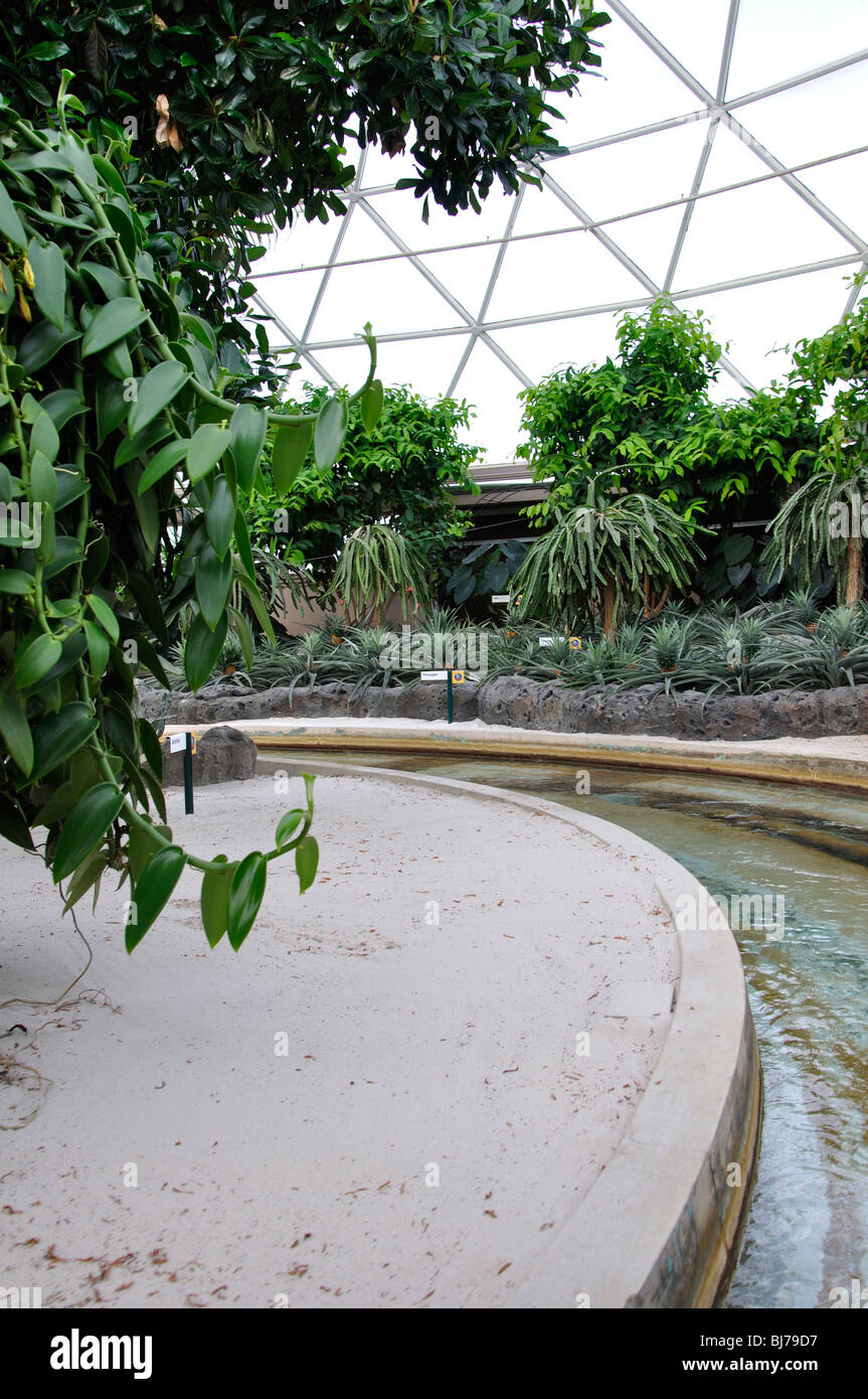 Hydroponic garden at Epcot, Disneyworld,Orlando, Florida, USA Stock ...