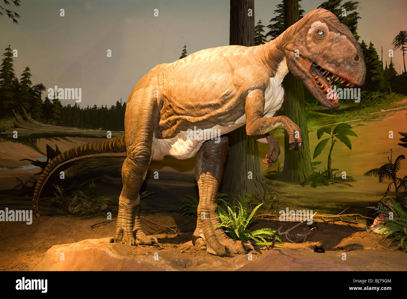 Dinosaur Museum Sandown Isle of Wight England UK Great Britain Stock ...