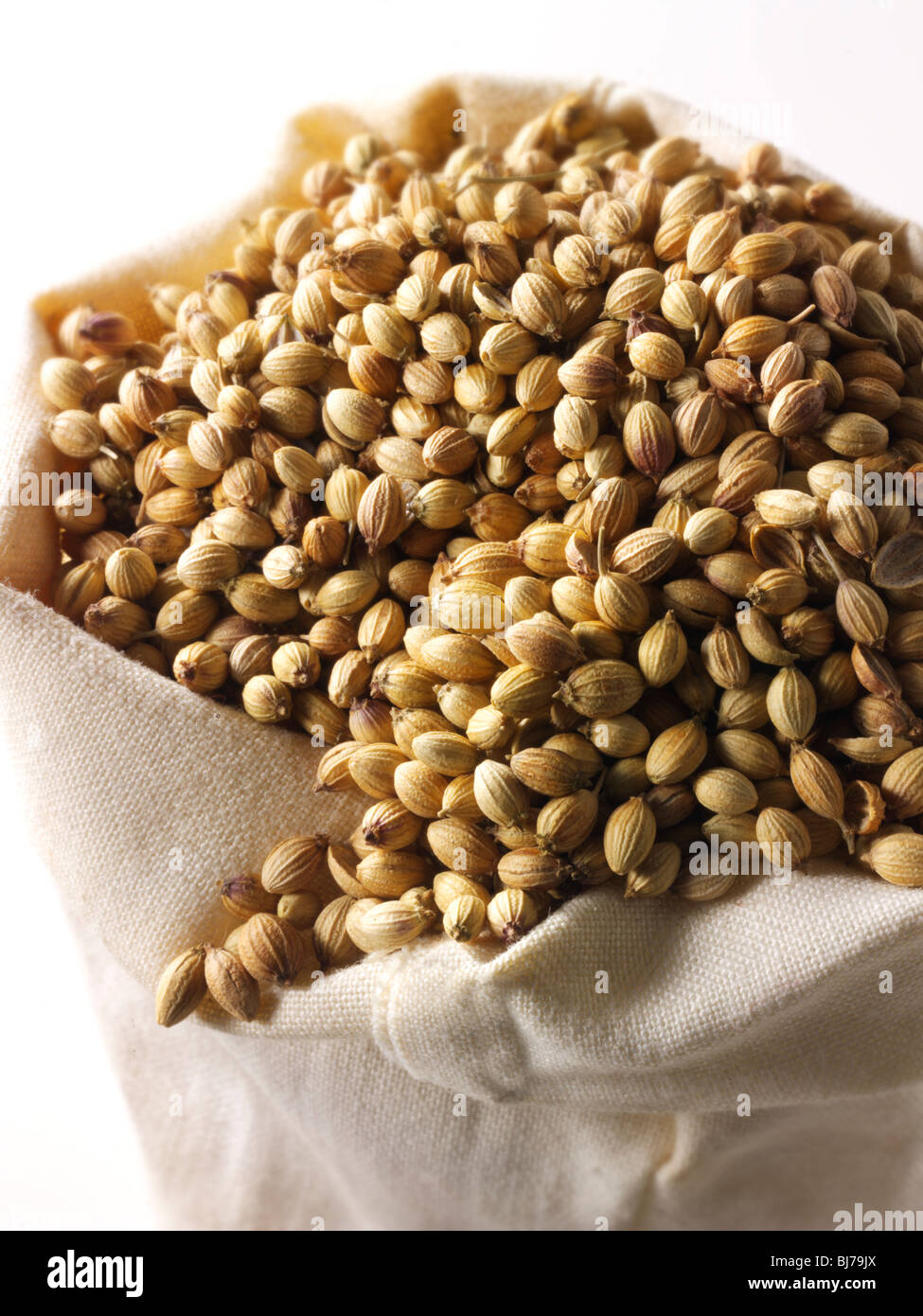 Spice seeds hi-res stock photography and images - Alamy