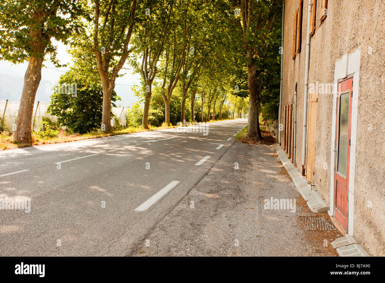 Road lined with trees hi-res stock photography and images - Alamy