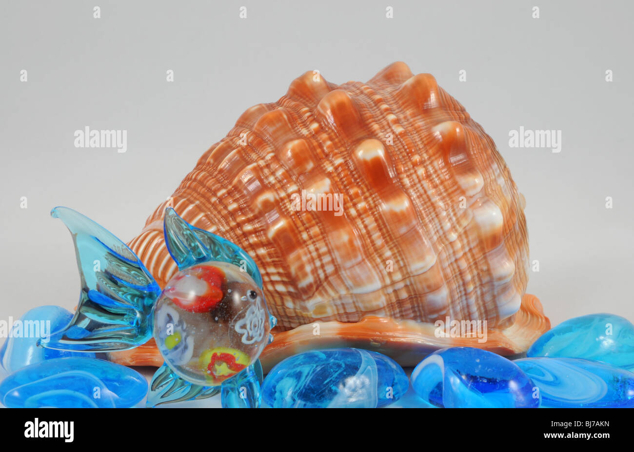 Ocean shell and glass fish, still life composition, table top ...