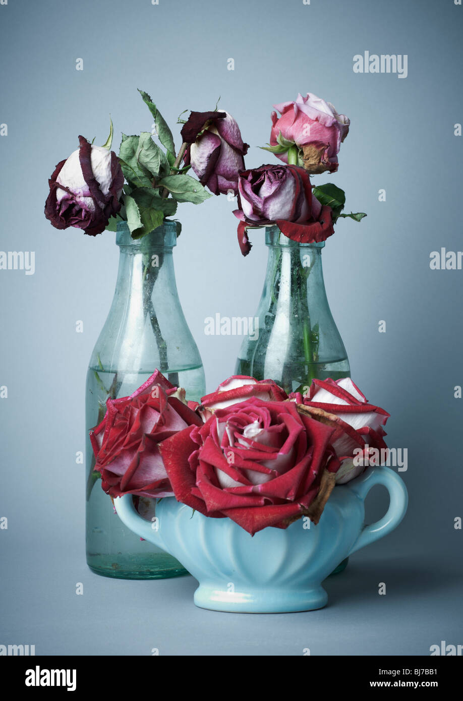 Dead roses in glass vase hi-res stock photography and images - Alamy