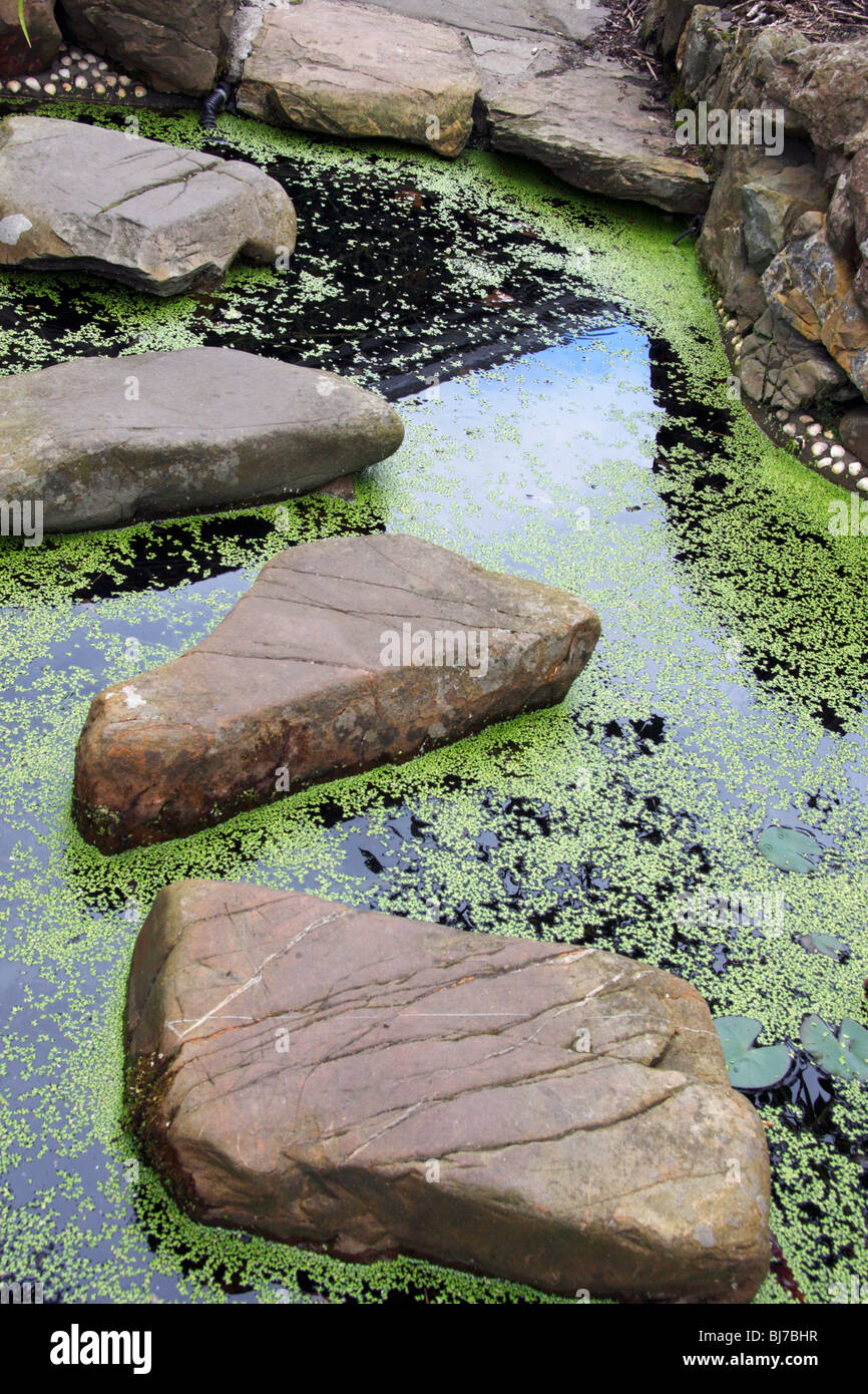 Stepping stone garden hi-res stock photography and images - Alamy