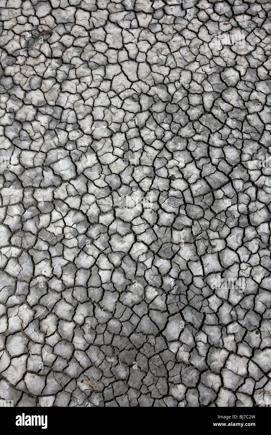 Drought Dry cracked earth Stock Photo - Alamy