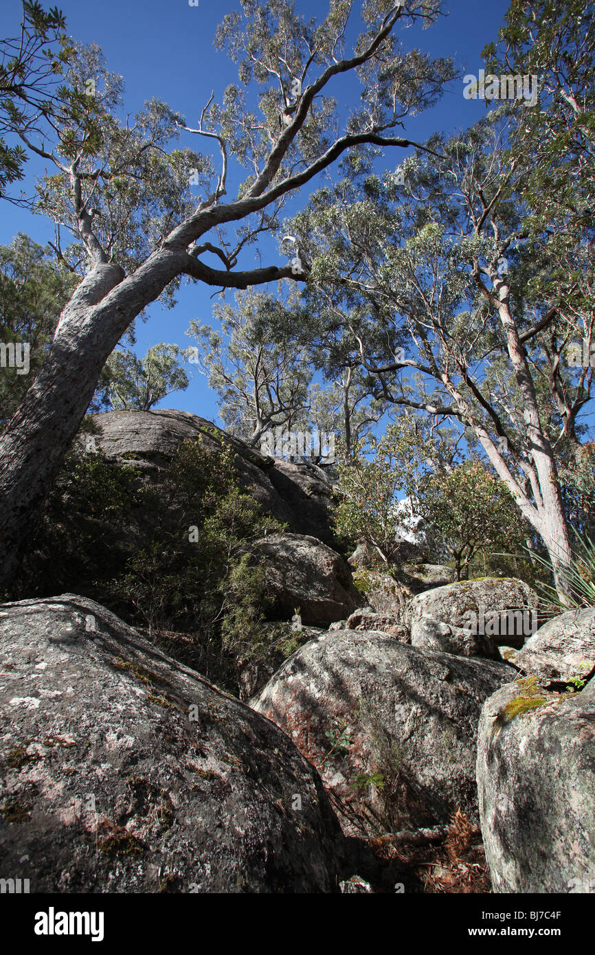 Thunderbolts lookout hi-res stock photography and images - Alamy