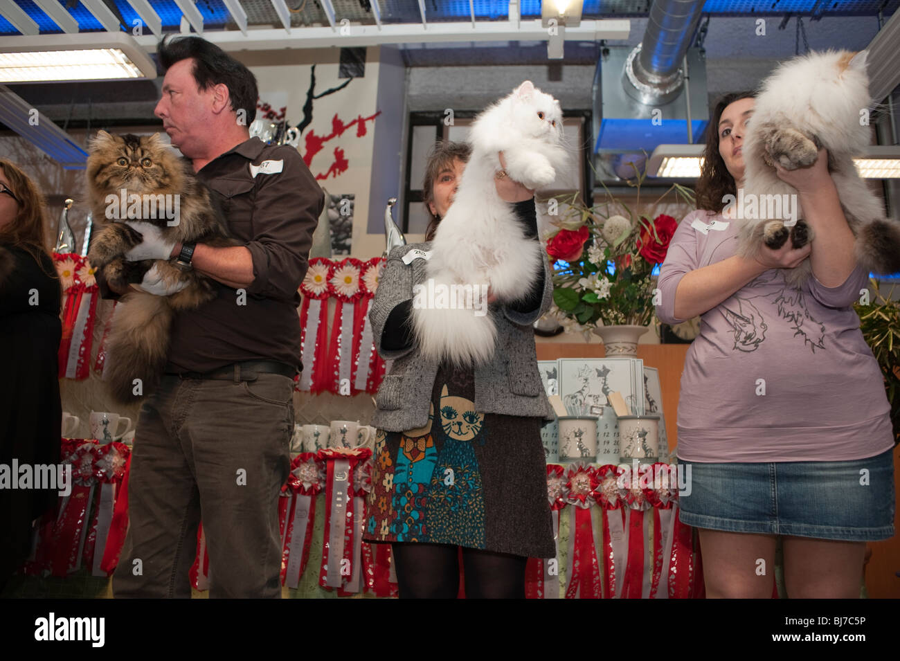 Paris, France, French Pedigree Cat Show, Trade Show, Breeders Holding ...