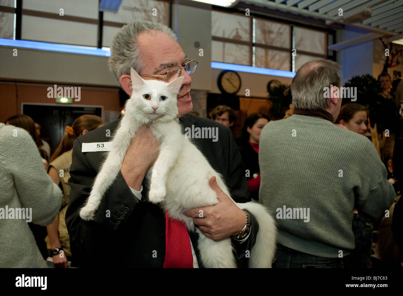Domestic Cats, Paris, France, French Pedigree Cat Show, Trade Show, Old ...