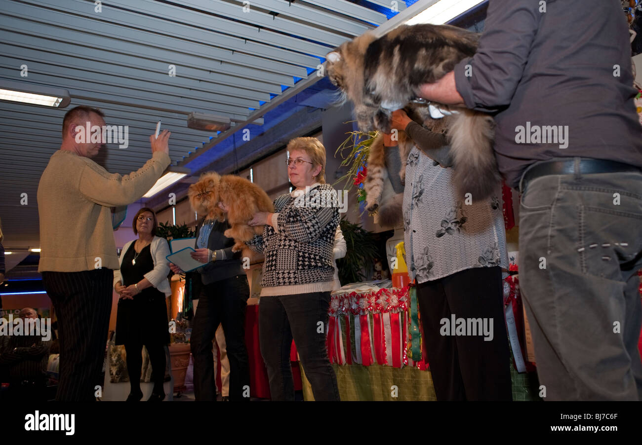 Paris, France, French Pedigree Cat Show, Trade Show, Women Holding Cats ...