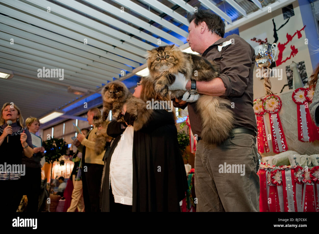 Paris, France, French Pedigree Cat Show, Trade Show, Man Holding ...