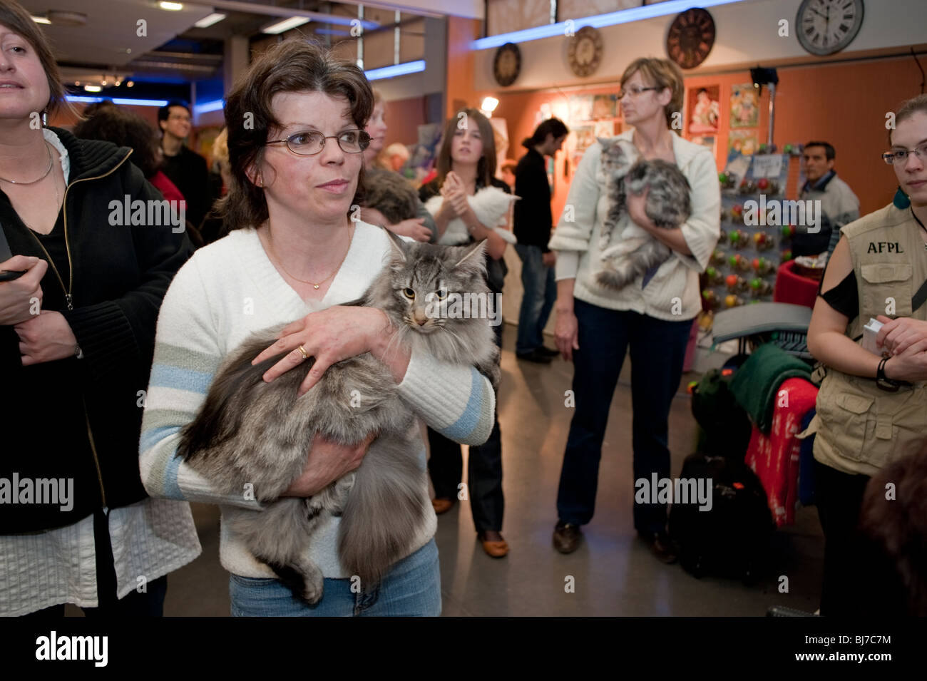 Pets in paris hi-res stock photography and images - Alamy