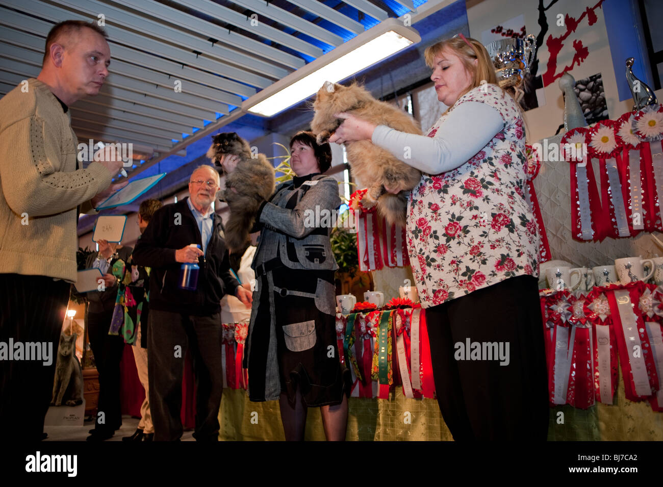 Female breeders showing cats judges hi-res stock photography and images ...