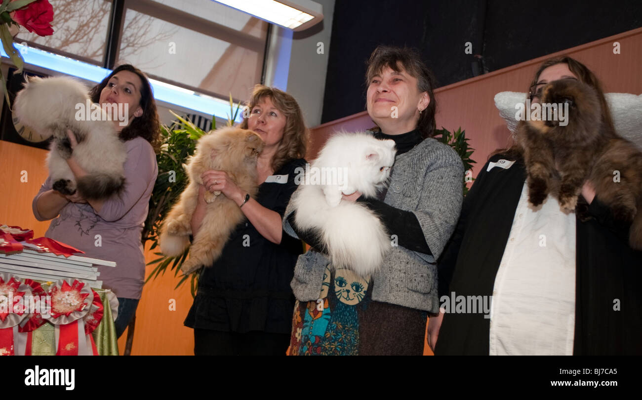 Paris, France, Small Group People, French Women, Pedigree Cat Show ...