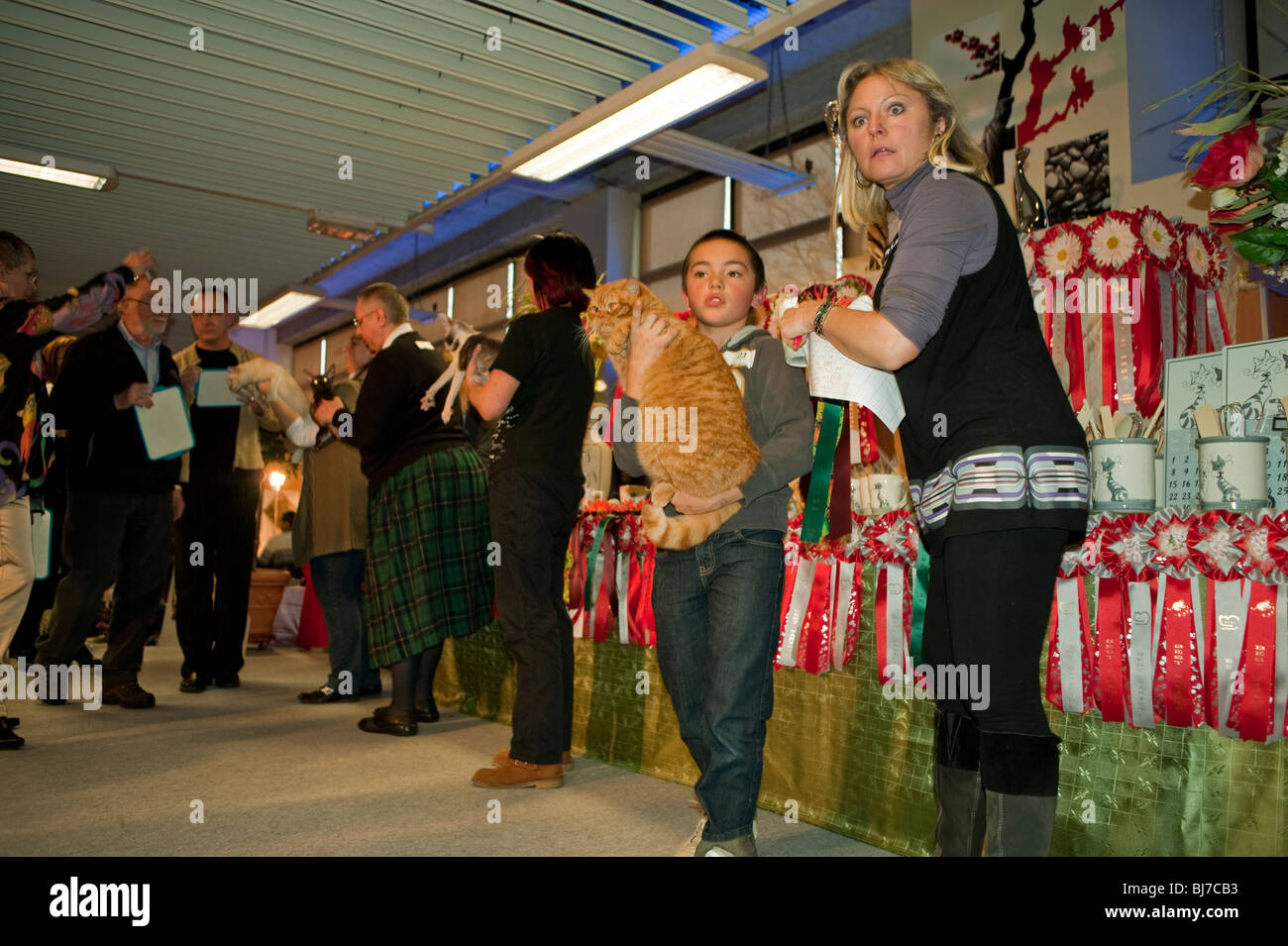Paris, France, French Pedigree Cat Show, Trade Show, Female Breeders ...