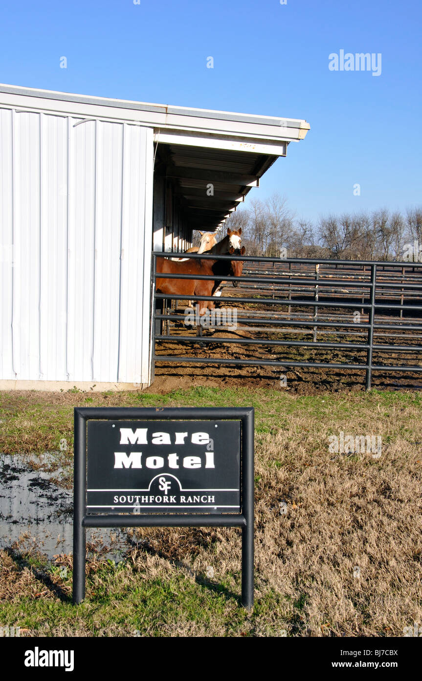 South fork ranch texas hi-res stock photography and images - Alamy