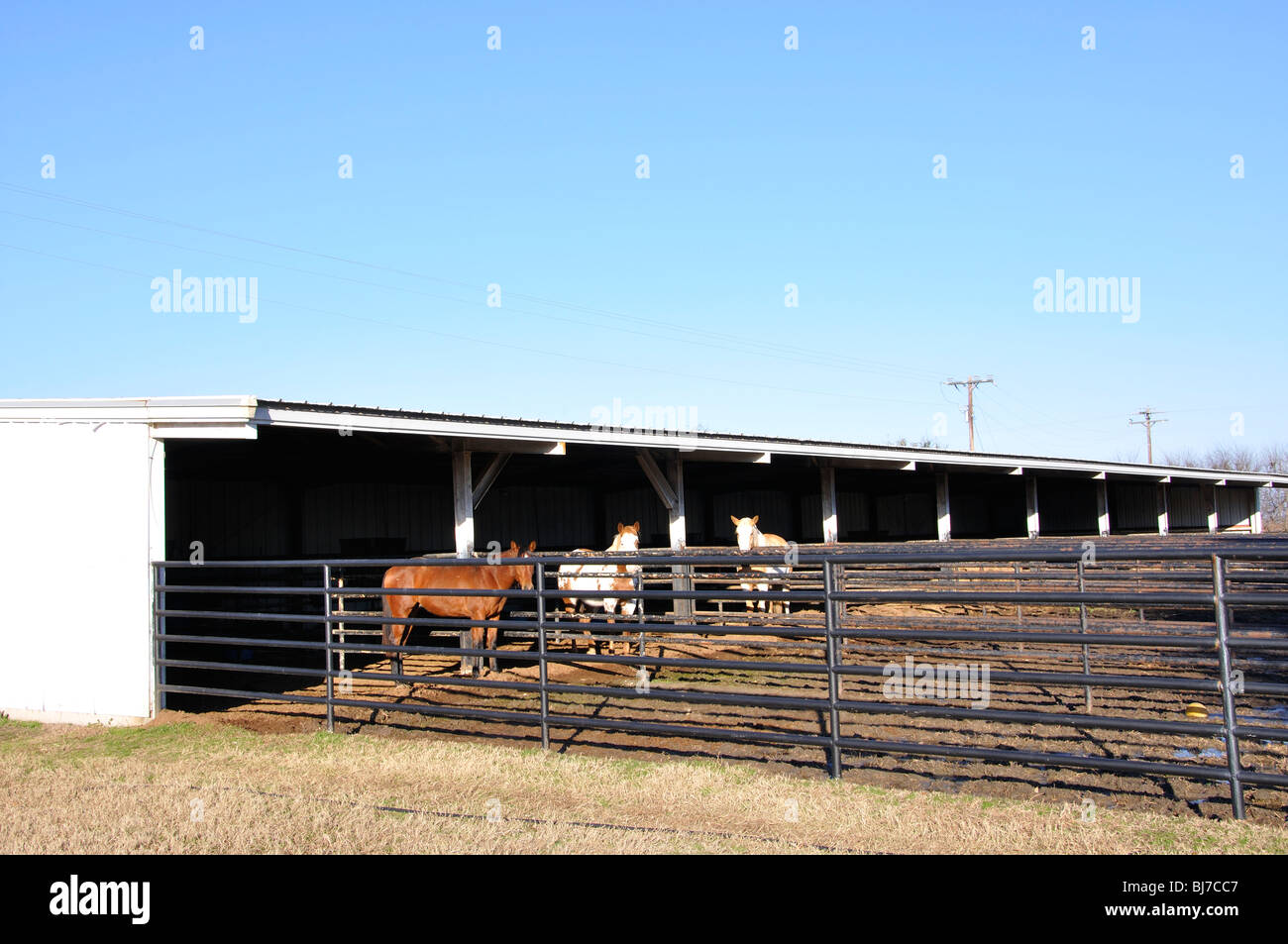 South fork ranch texas hi-res stock photography and images - Alamy