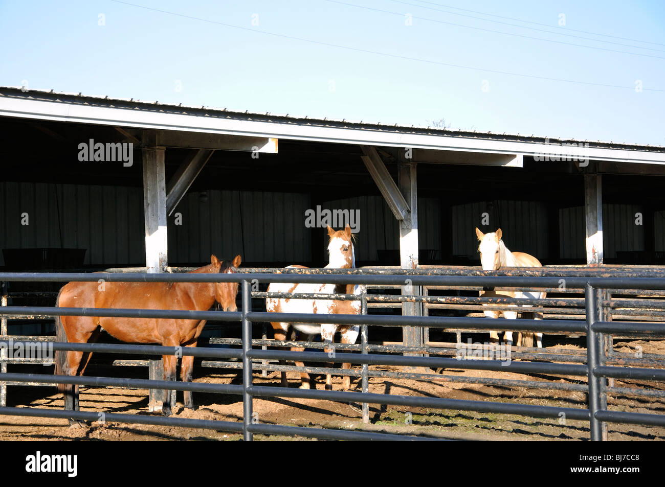South Fork Ranch Texas High Resolution Stock Photography and Images - Alamy