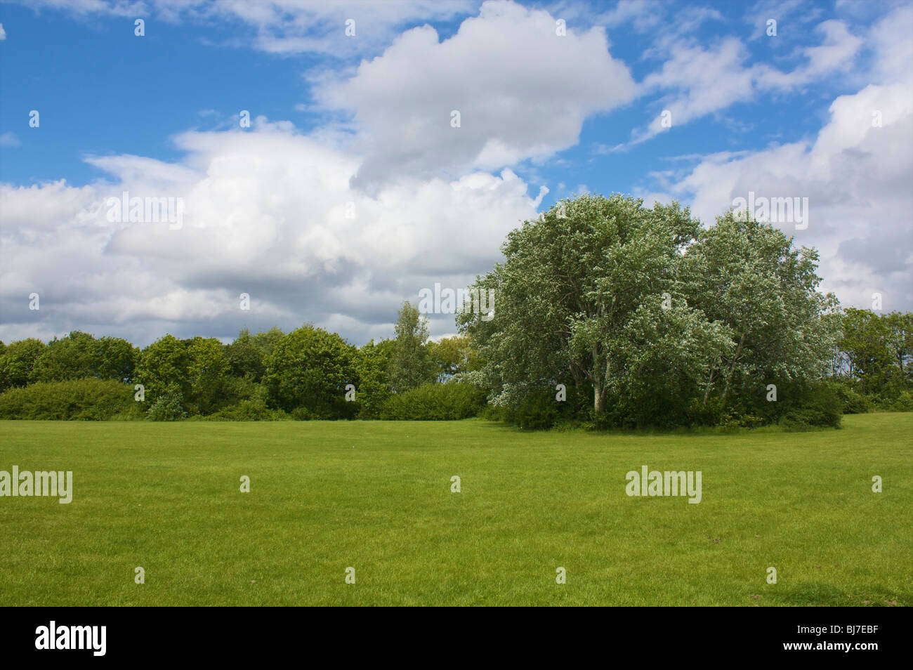Wormwood scrubs park hi-res stock photography and images - Alamy