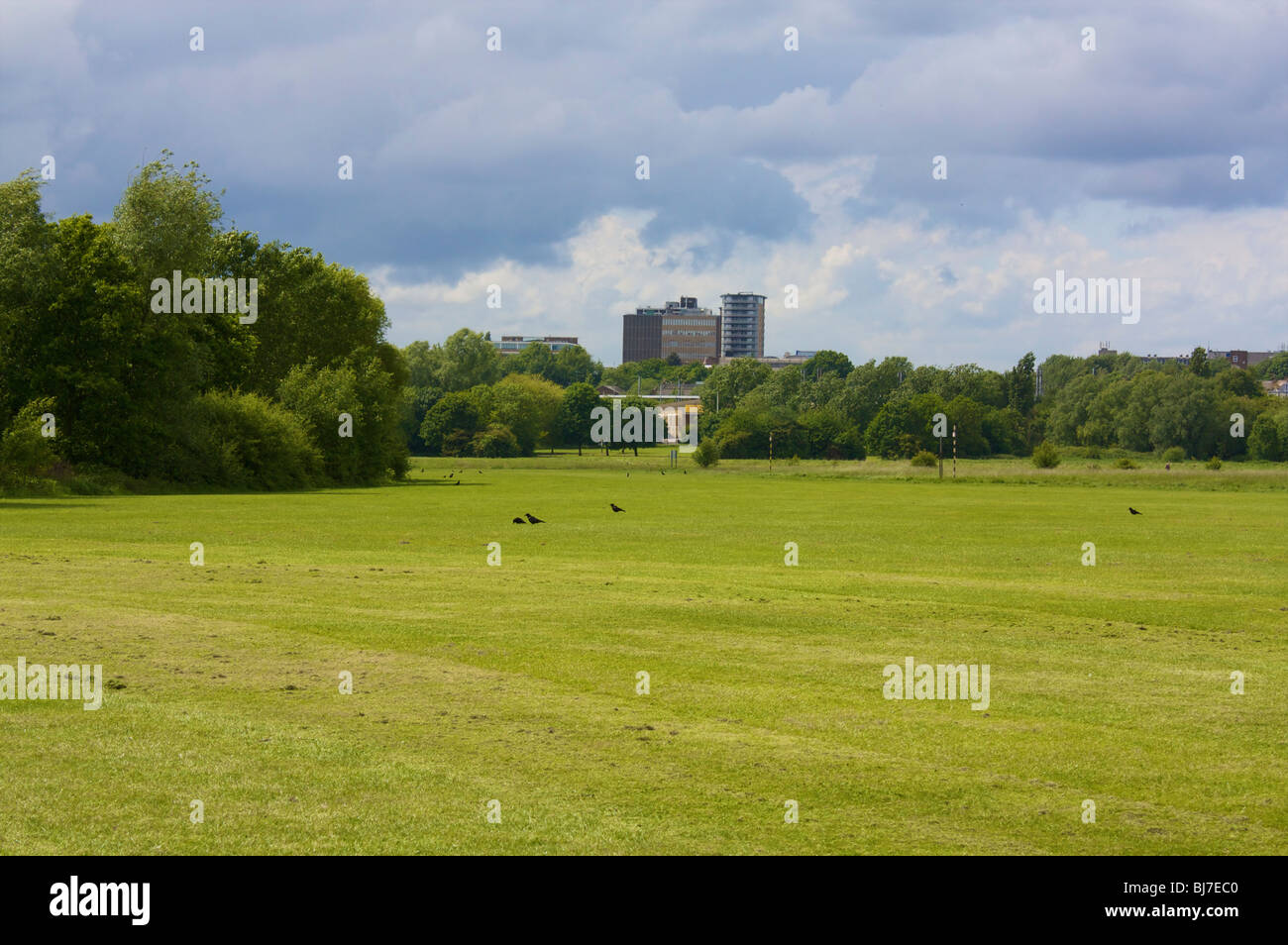 Playing fields in london hi-res stock photography and images - Alamy