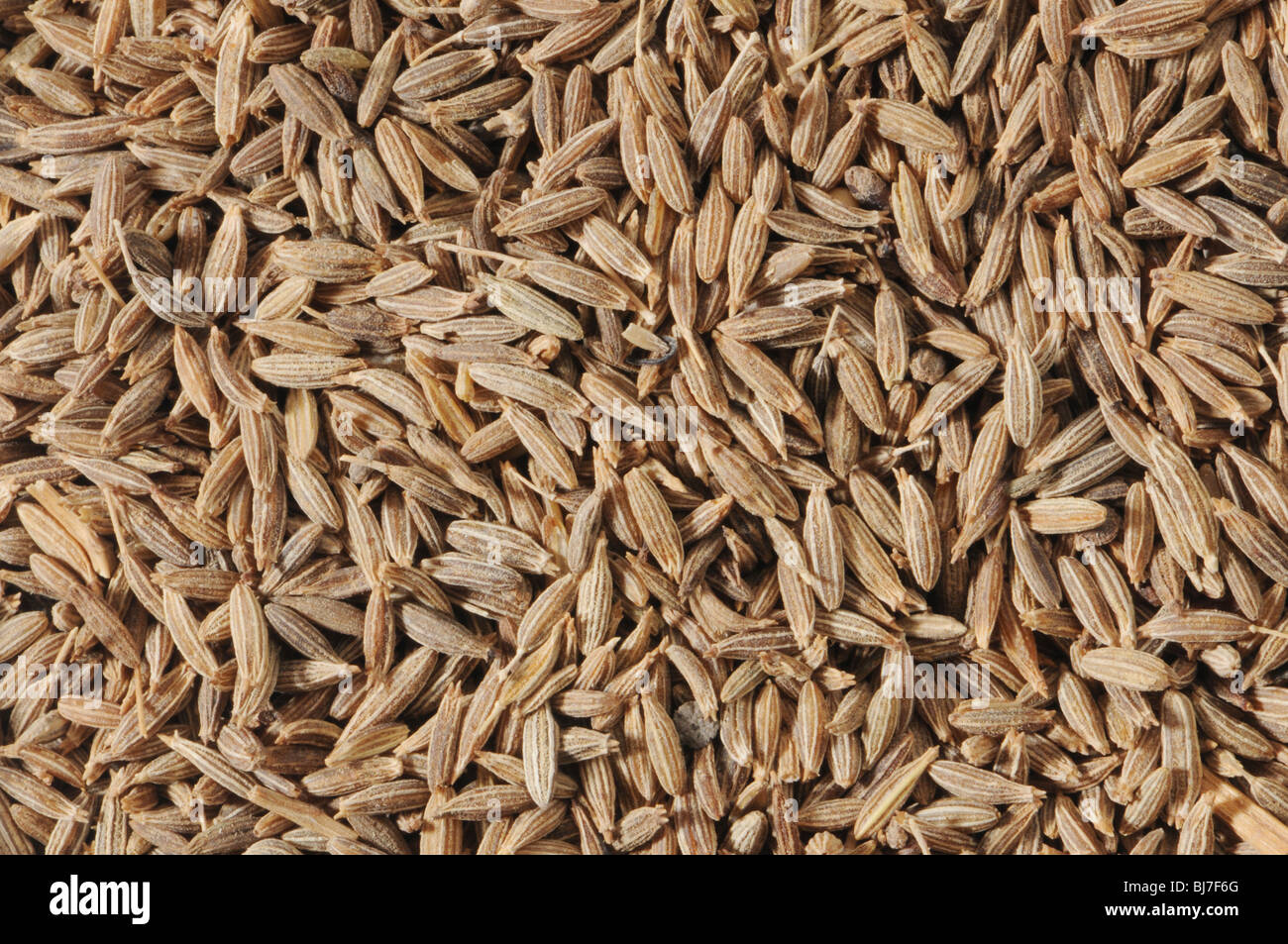 Cumin hot food ingredient Stock Photo - Alamy