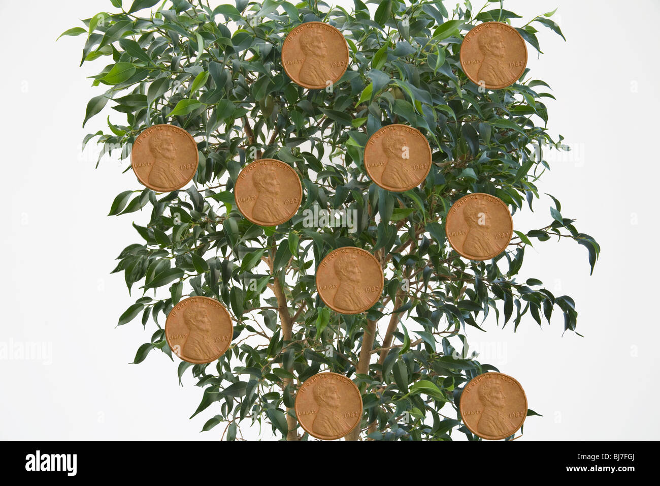 Money growing on tree hi-res stock photography and images - Alamy