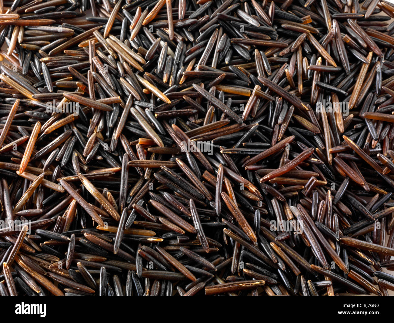 Wild Rice grains - stock photos Stock Photo - Alamy