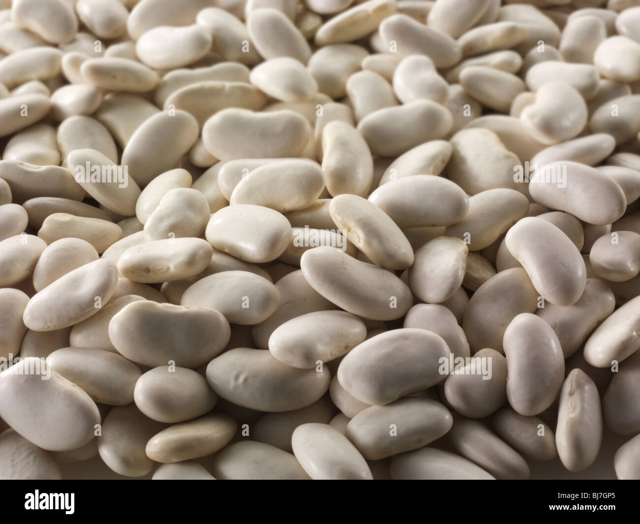 Whole dried white dermason beans - close up full frame top shot ...