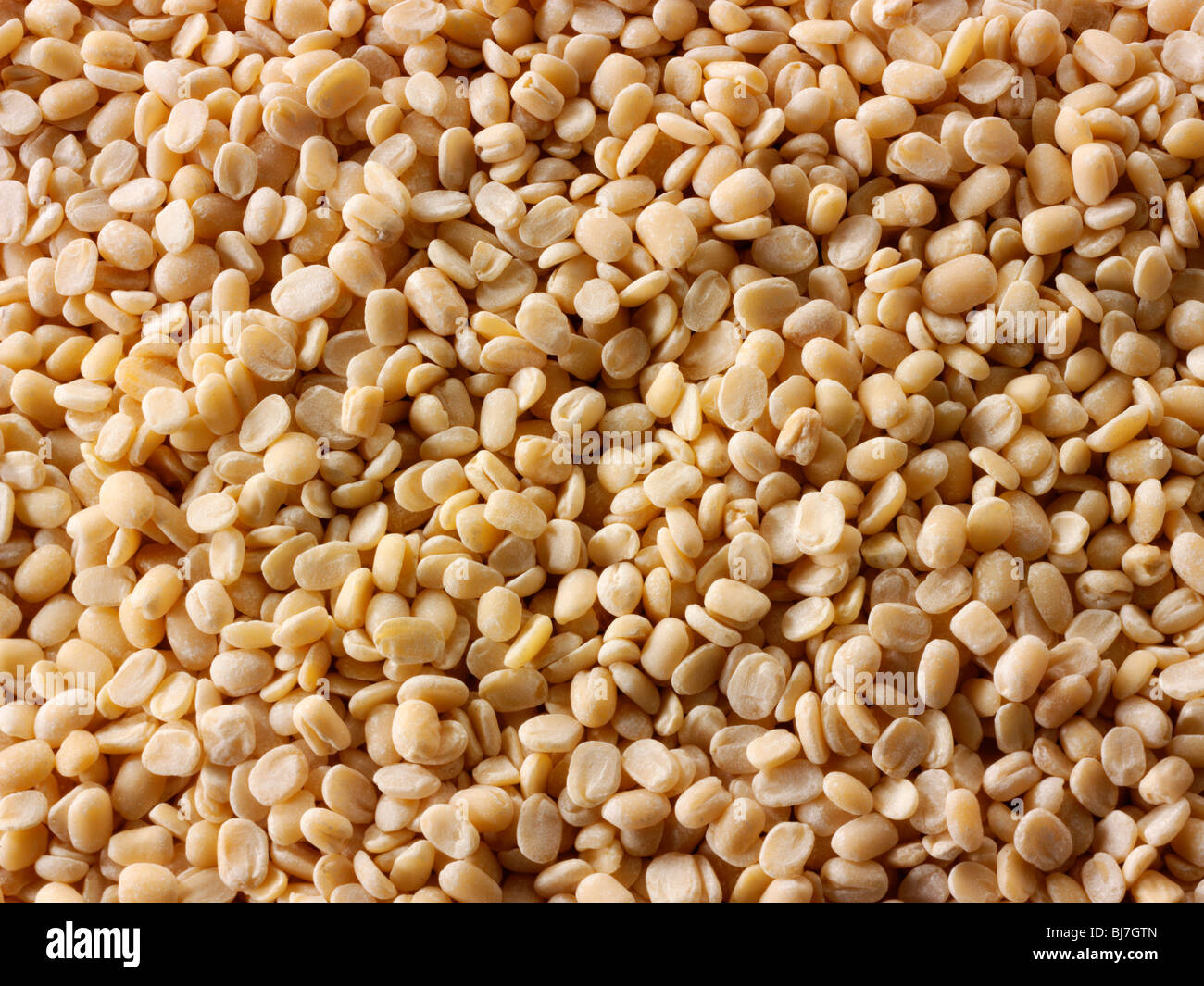 Whole dried urid dahl, urad dal, udad dal, urd bean, urd, urid, white ...