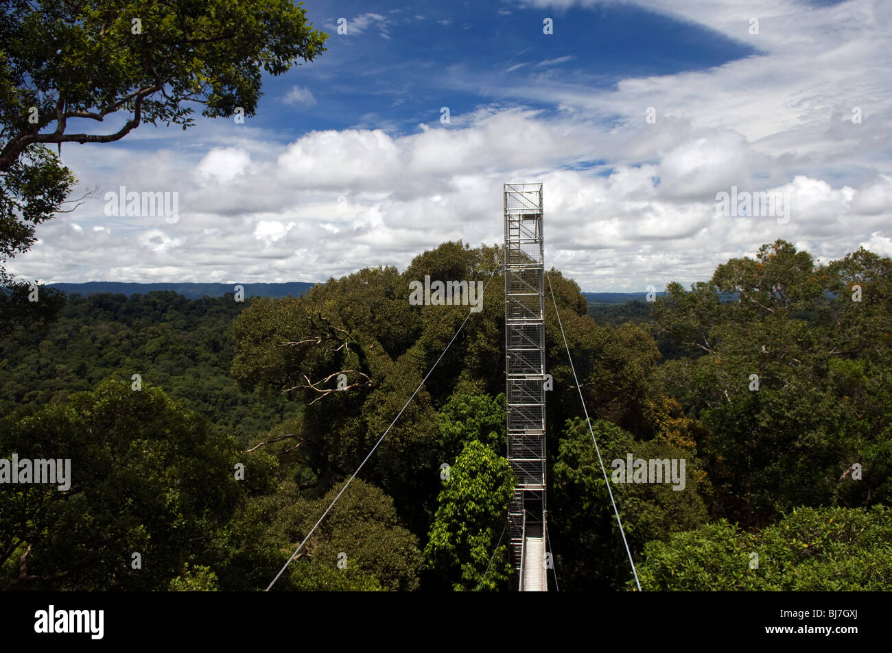 Temburong rainforest visitor centre national hi-res stock photography ...