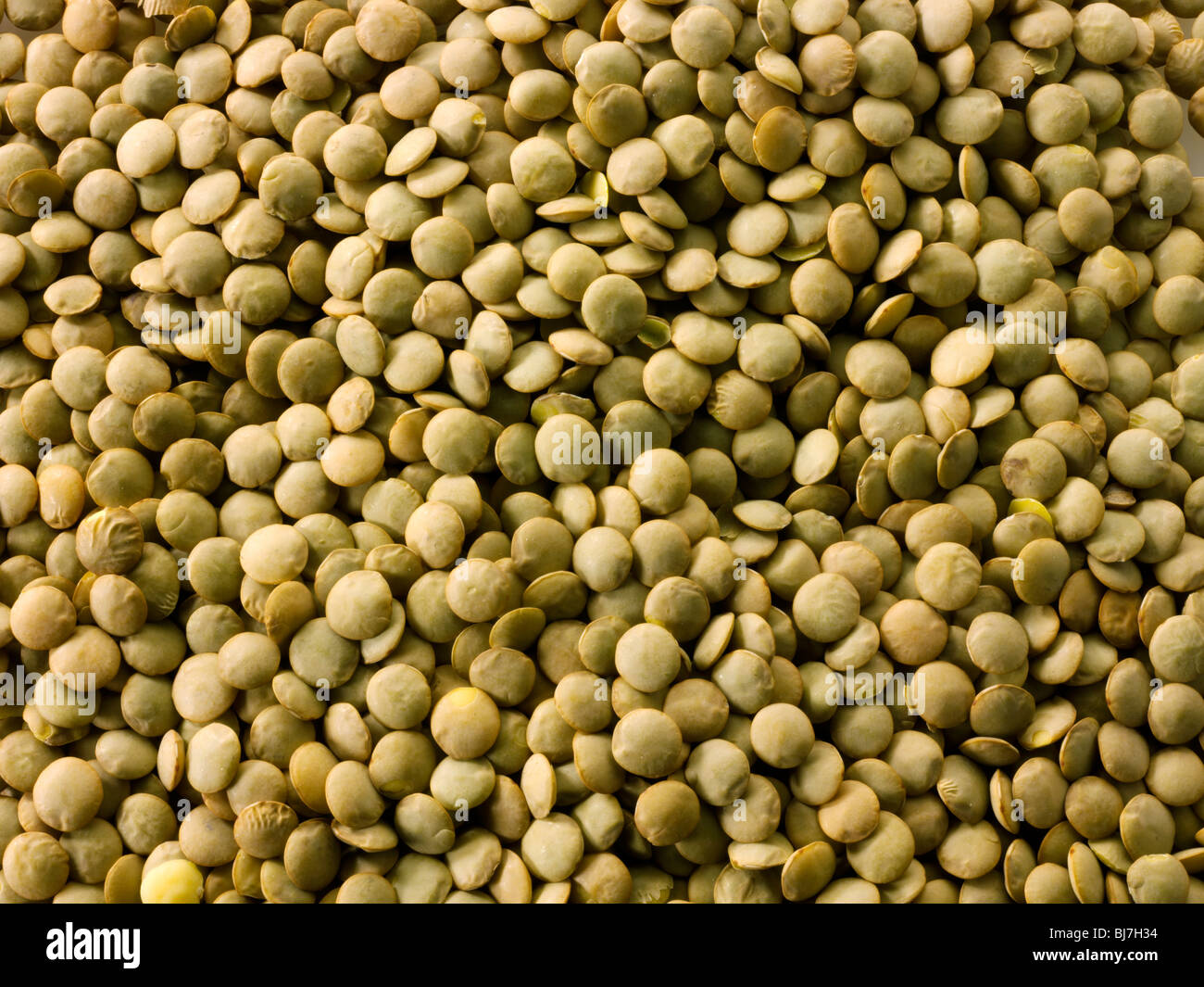 Whole dried green lentil beans - close up full frame top shot (Vigna ...