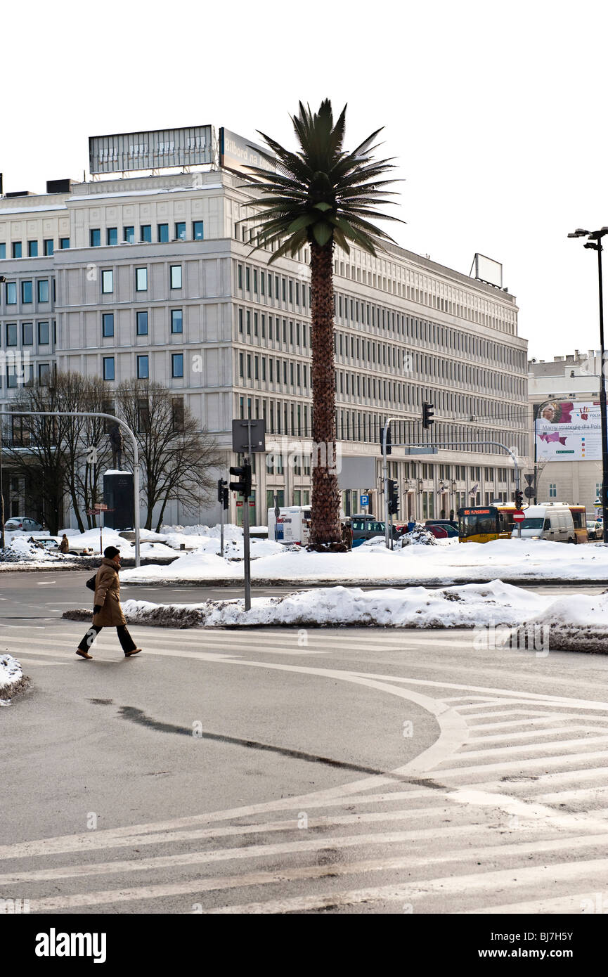 Artificial palm tree in the middle of the intersection between Aleja ...